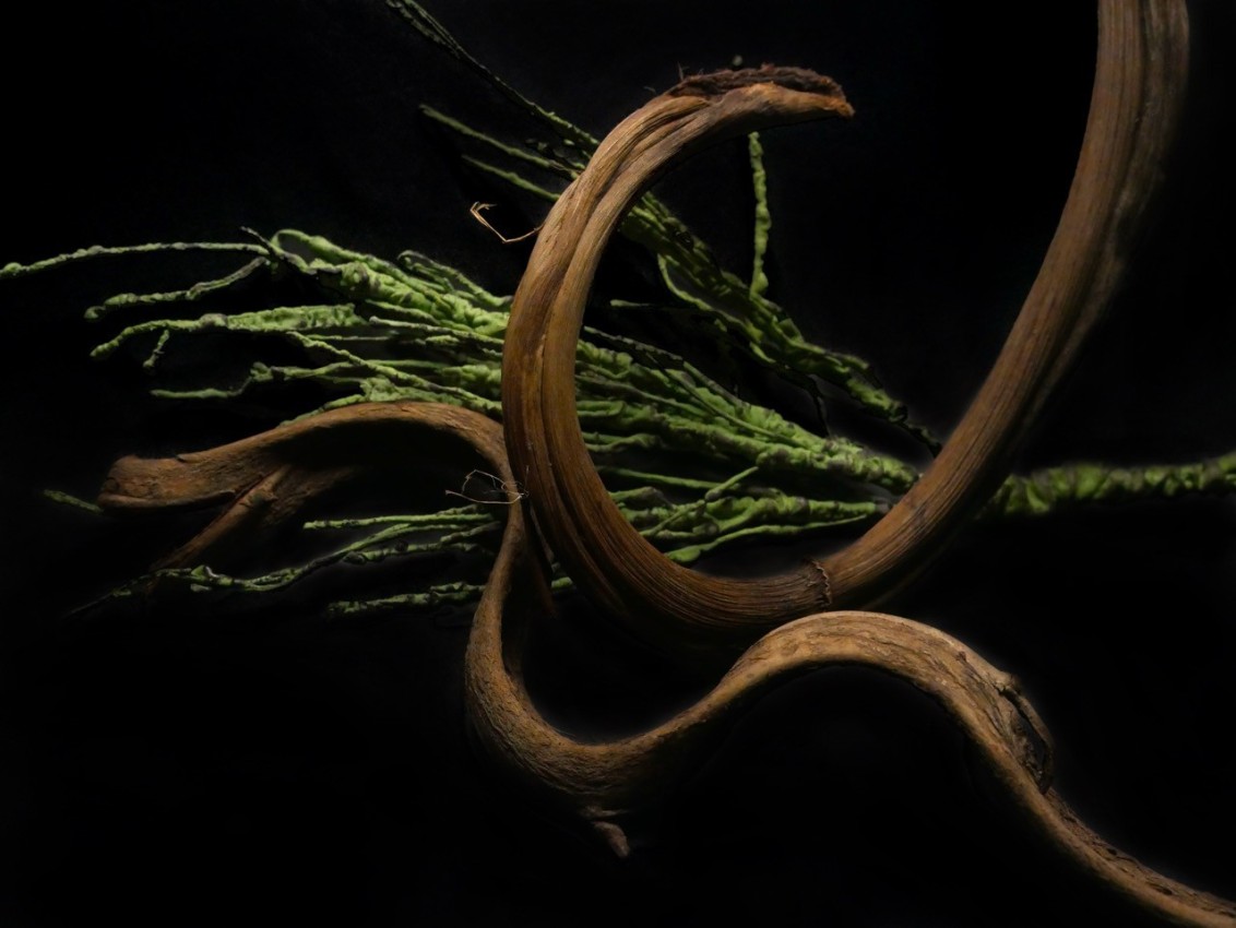 Liany | Vantis Terra